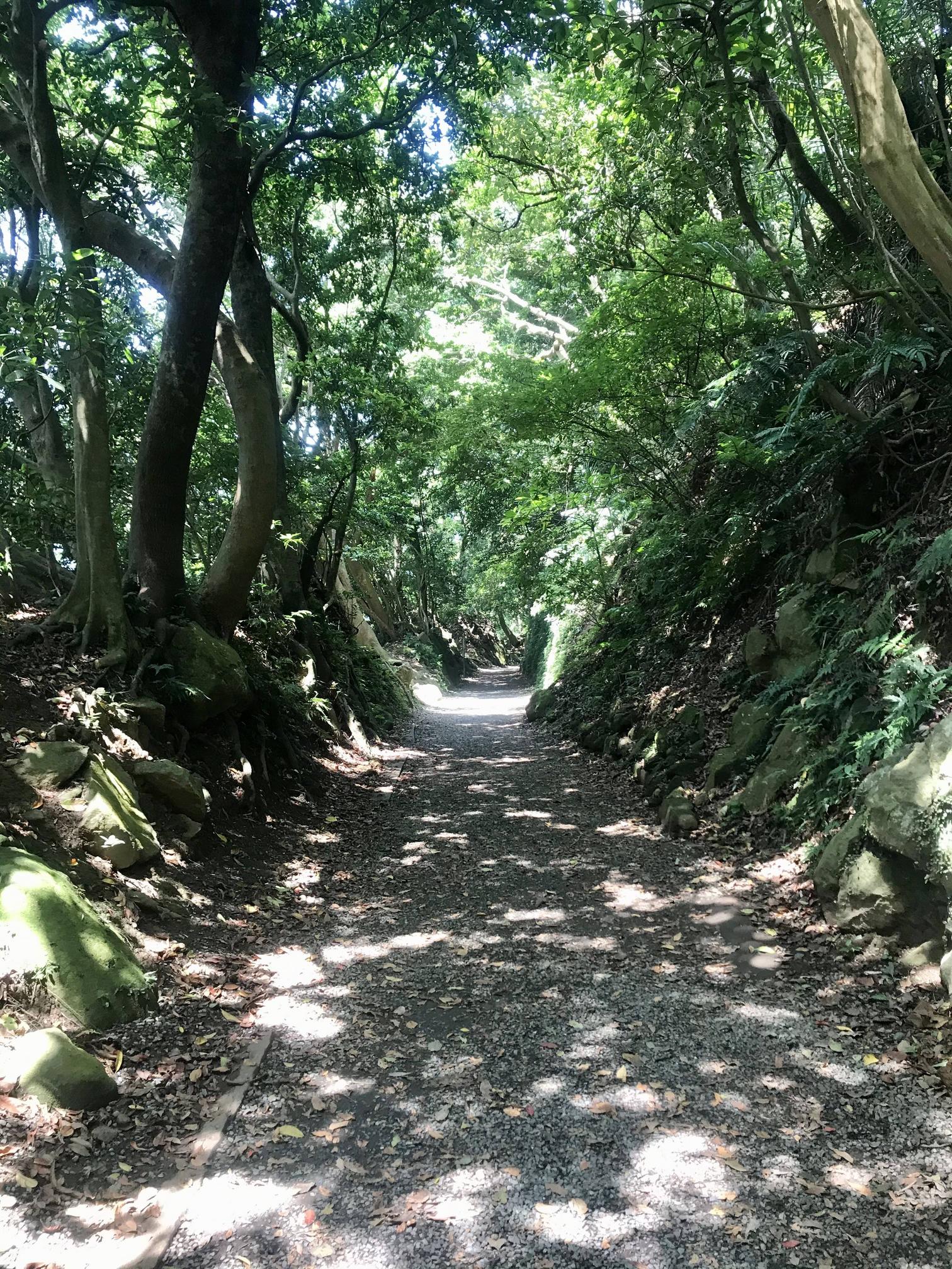 PX4 sitl & Gazebo modeling guide - HackMD