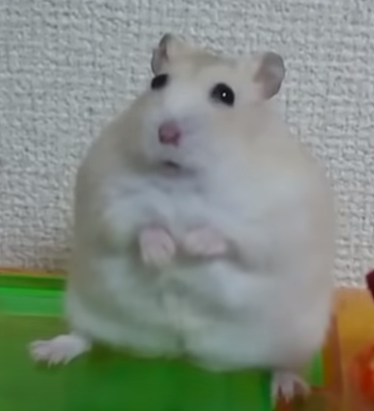 *什麼是SQL? - HackMD