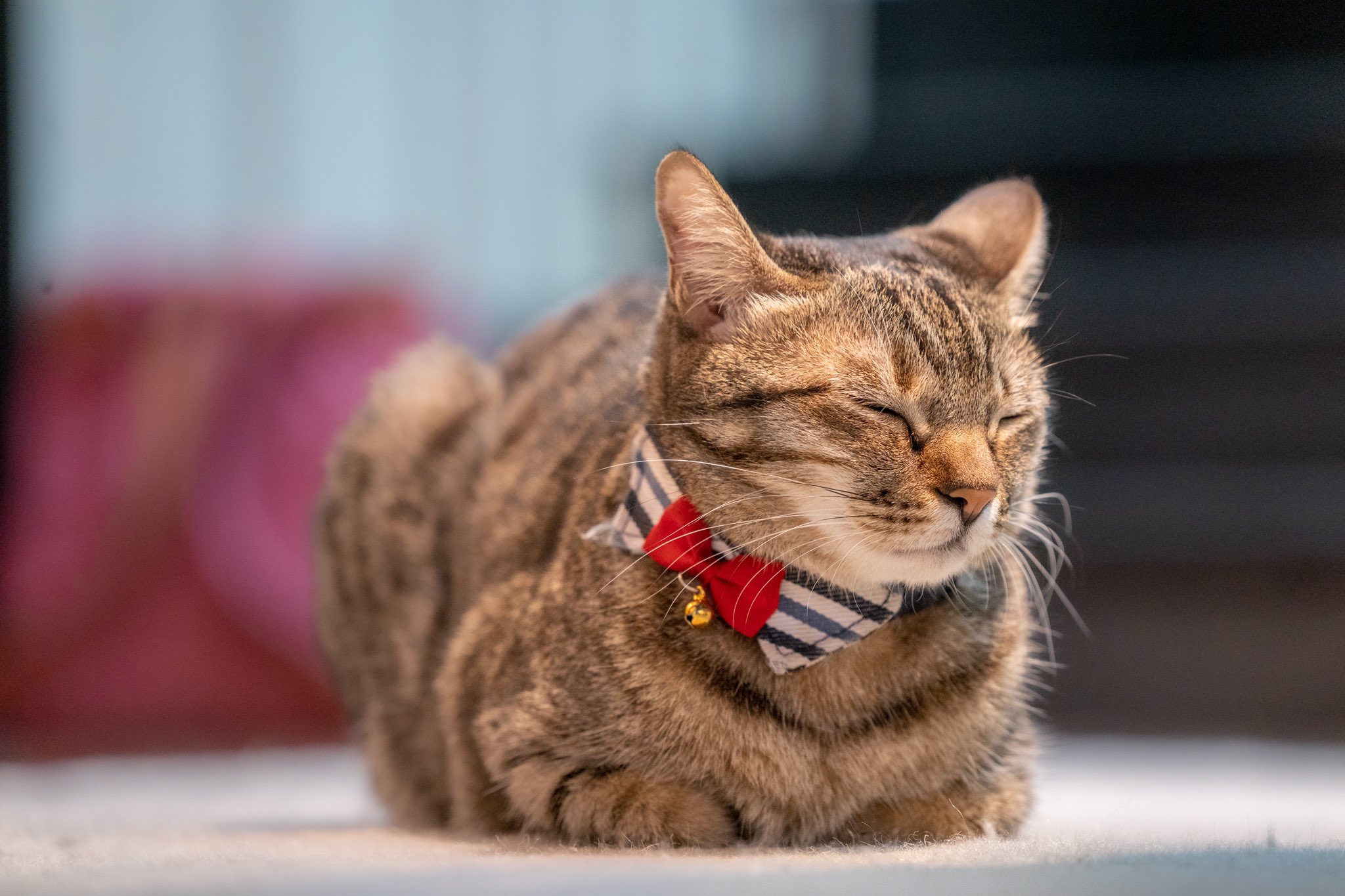 [What is the difference between webpage, website, web server, and ...