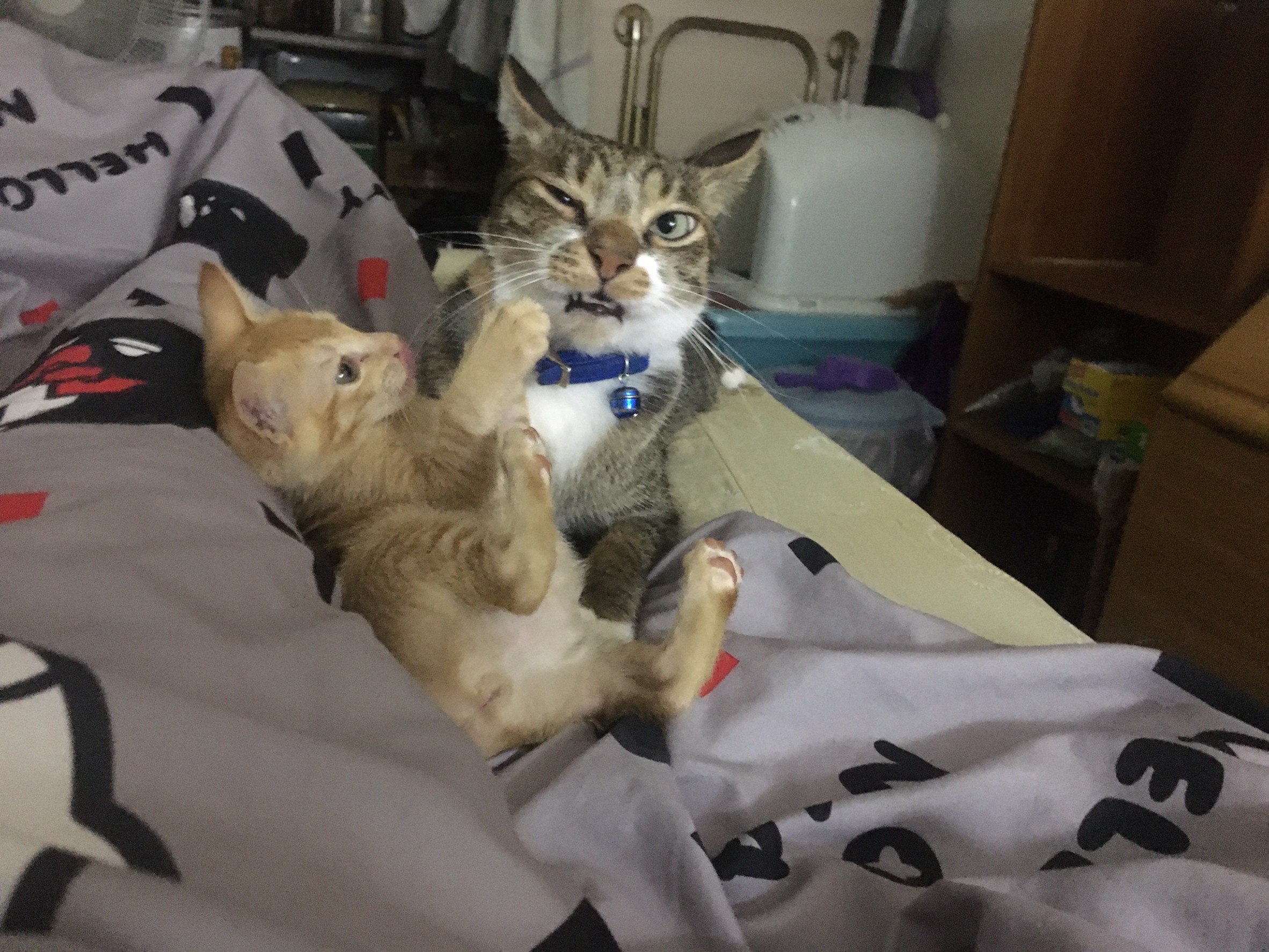 Build-up Microk8s in Local Single PC Step by Step - HackMD