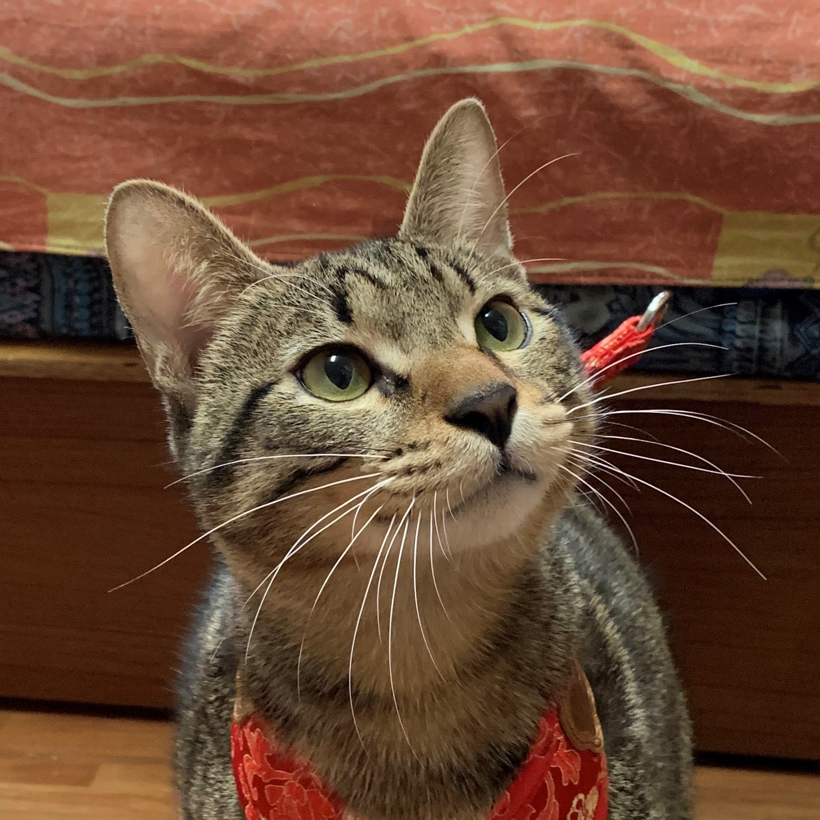 幼兒觀察重點 - HackMD