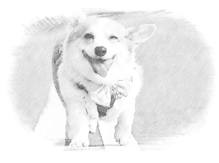 Install vscode on Jetson - HackMD