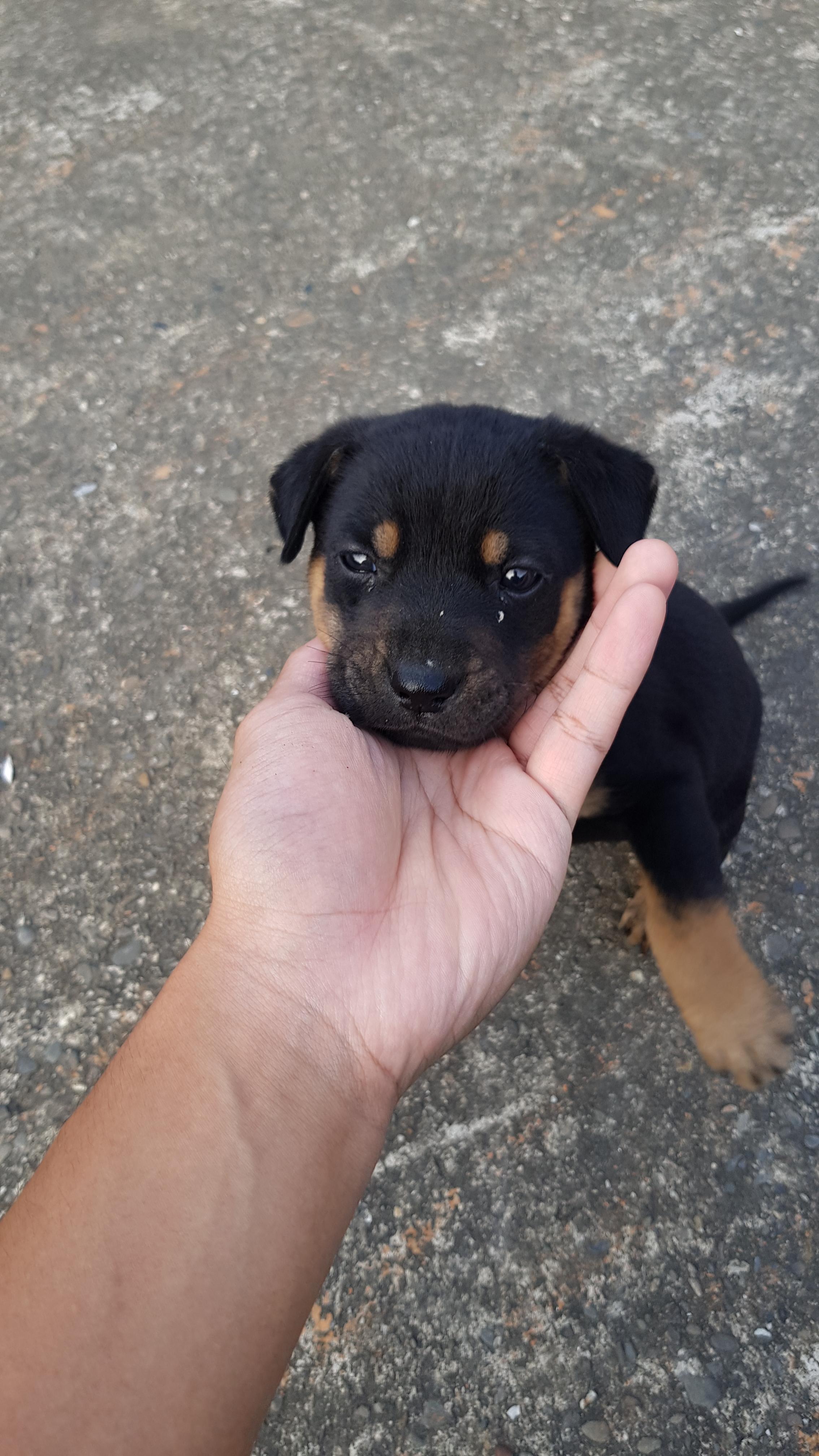 Mac Toolkit - HackMD