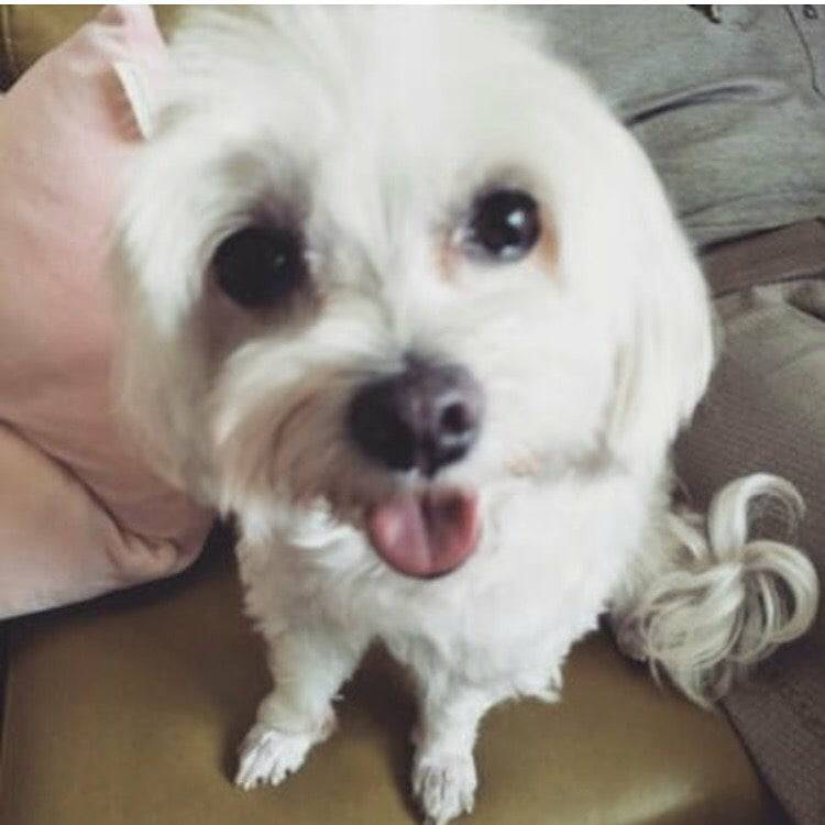 2020q3 Homework2 (quiz2) - HackMD