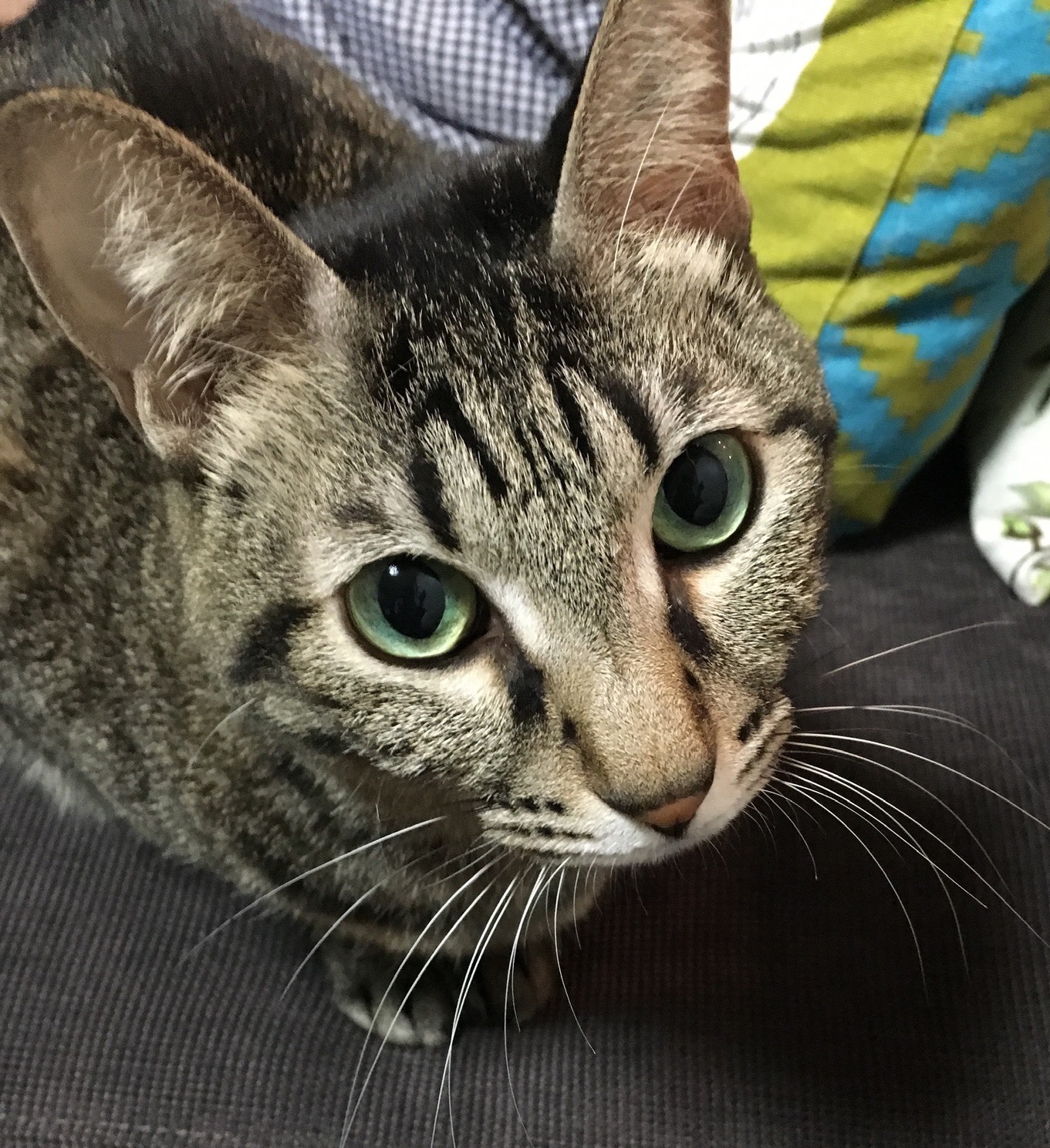 デプロイエラー(chat-spaceまで) - HackMD