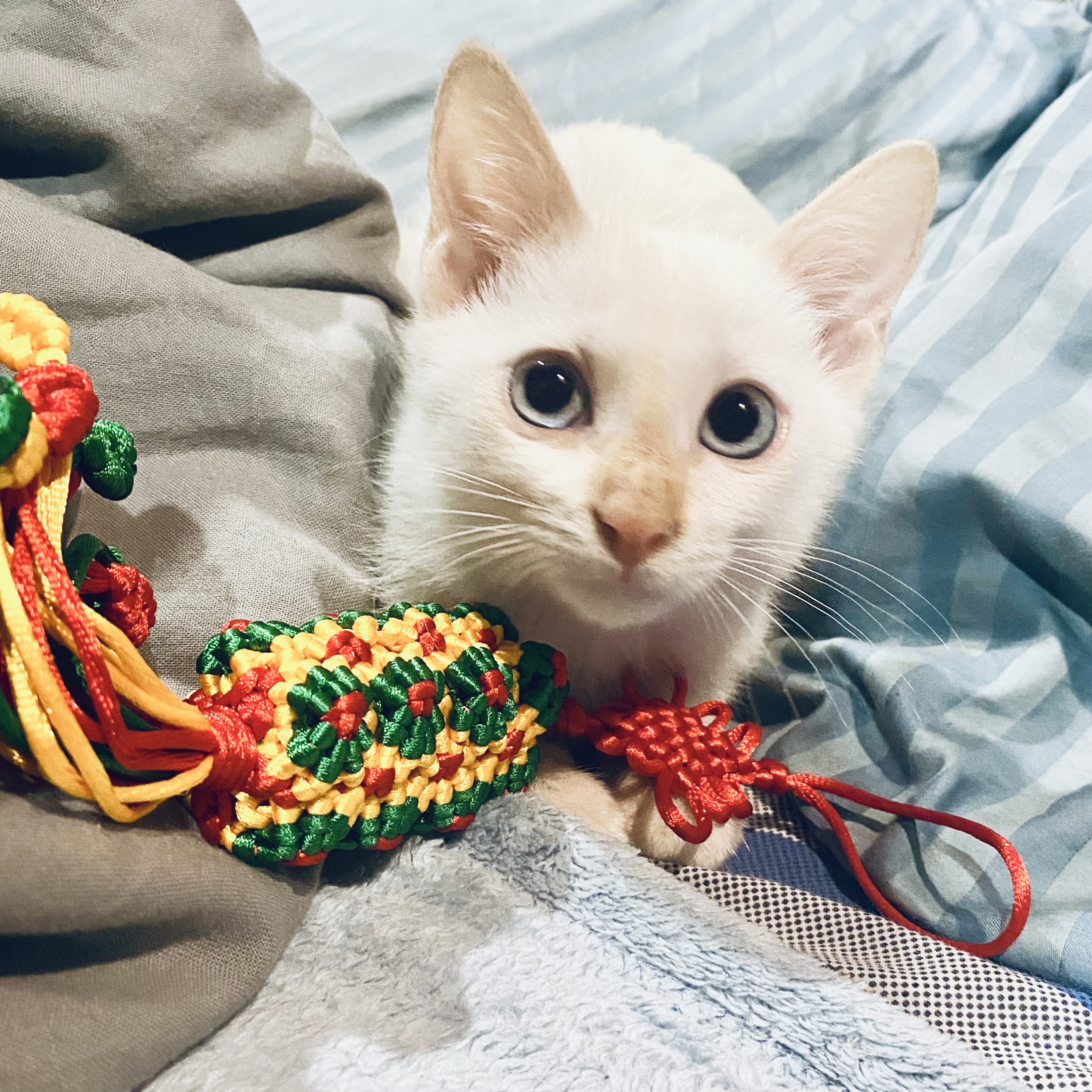 北六第四週小組任務 - HackMD